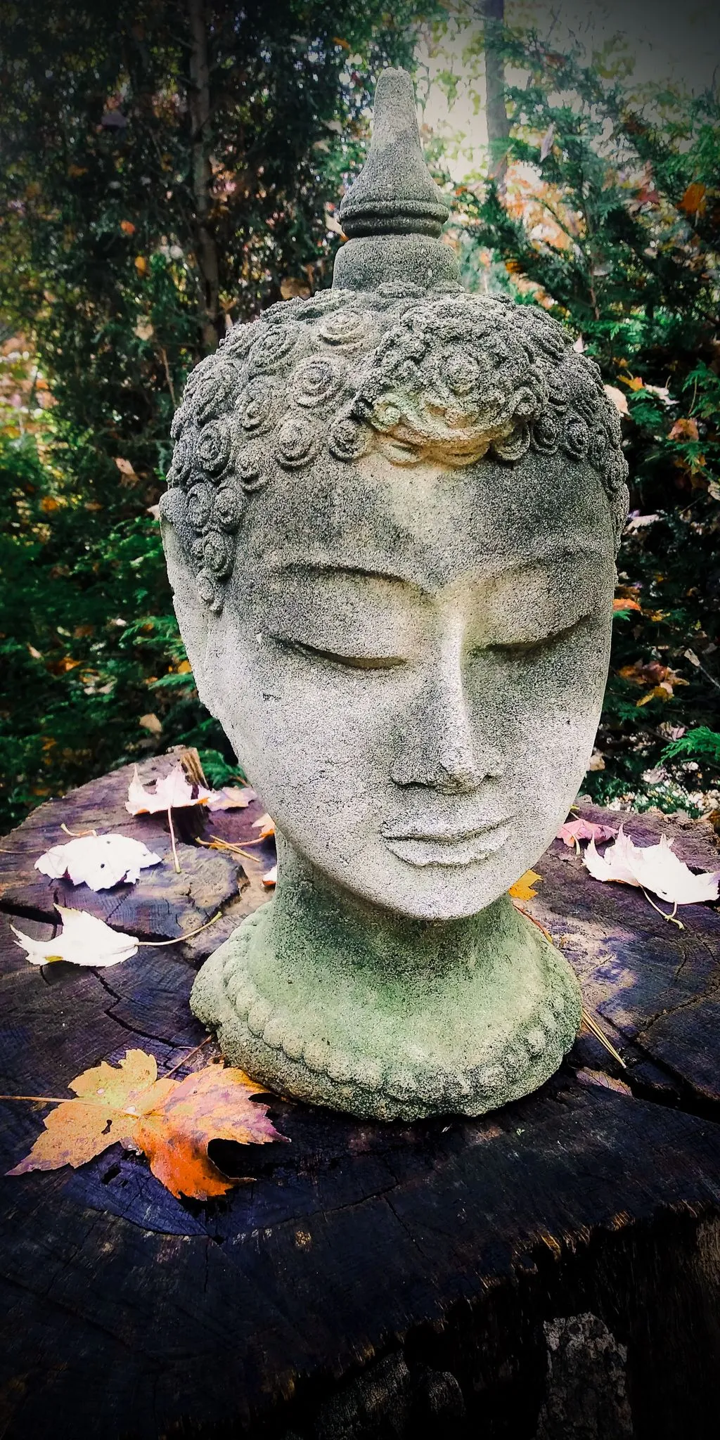 Spa Gallery | Shoji Spa & Retreat | Asheville, NC