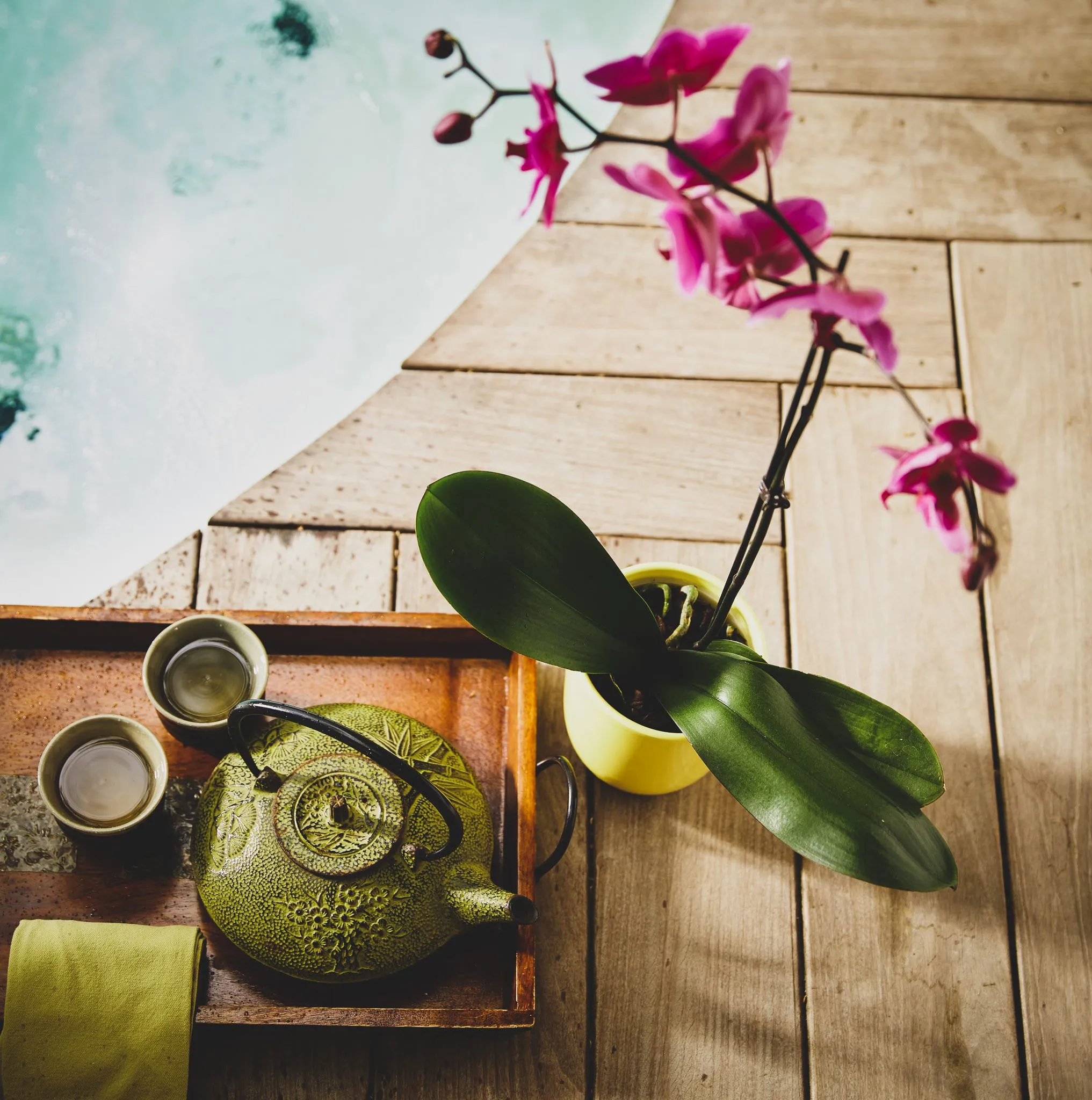 Spa Gallery | Shoji Spa & Retreat | Asheville, NC