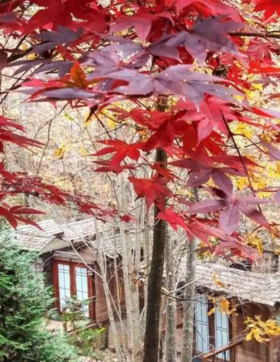 Spa Gallery | Shoji Spa & Retreat | Asheville, NC