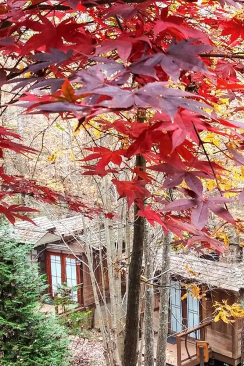 About our Japanese Style Spa | Shoji Spa & Retreat | Asheville, NC